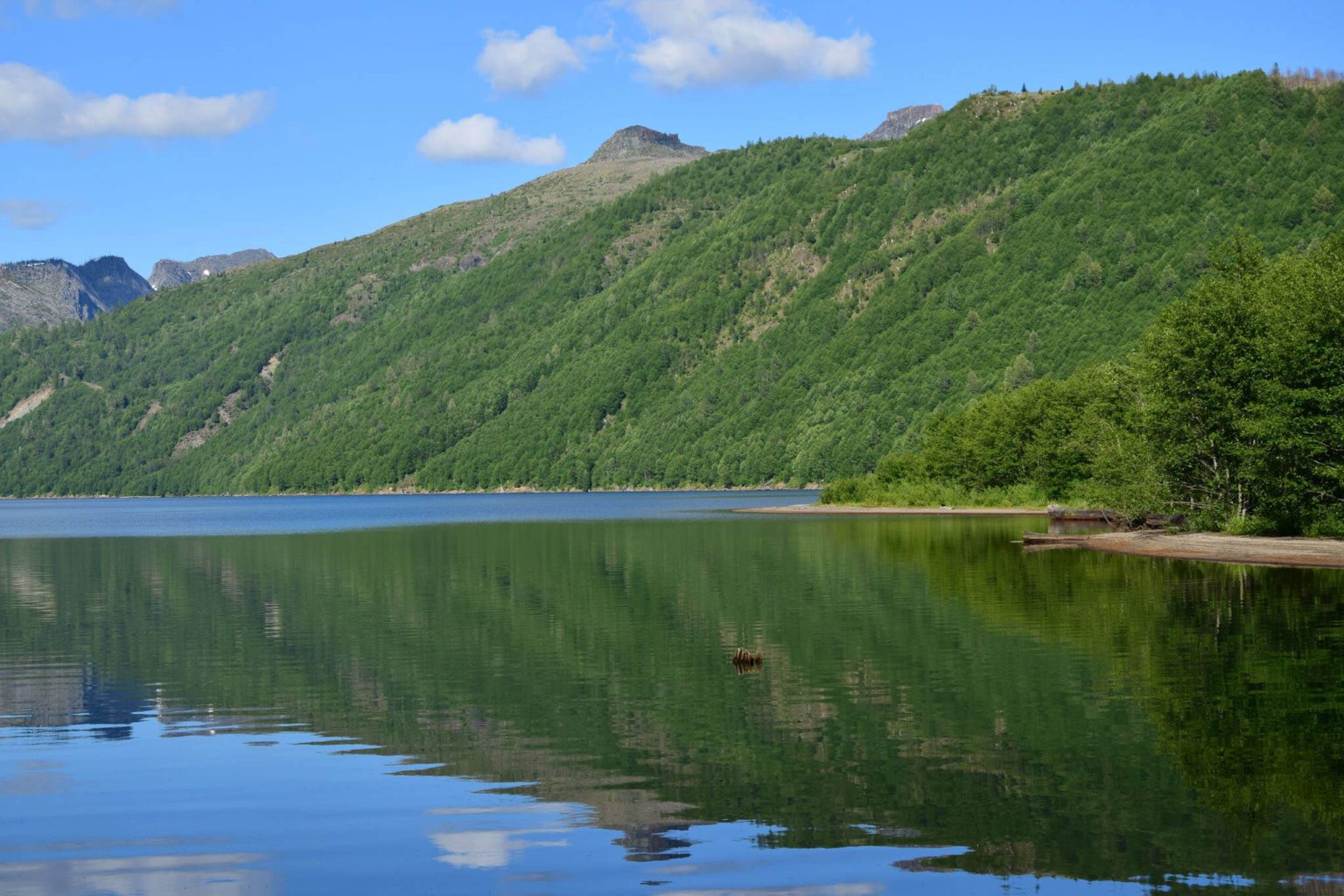 Fun things to do in Mt St Helens in a Day - A Couple Days Travel