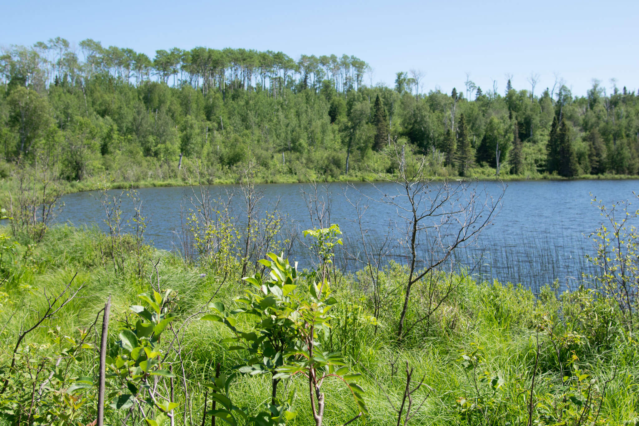 Four Beautiful Days Hiking Isle Royale - A Couple Days Travel