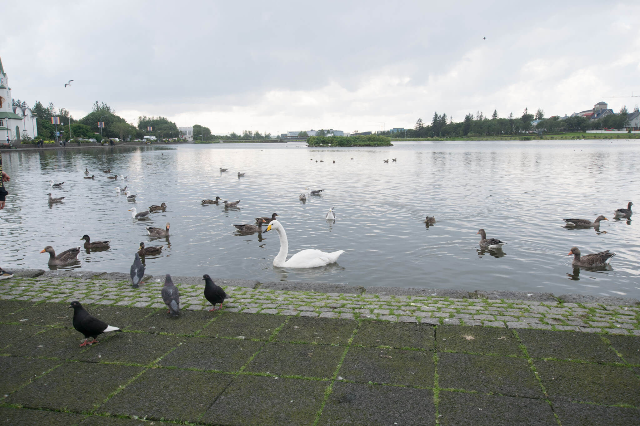 The Perfect Reykjavík itinerary: One Weekend In Reykjavík - A Couple ...