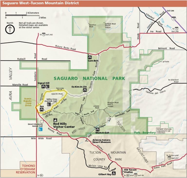 9 Fun Things To Do At Saguaro National Park - A Couple Days Travel