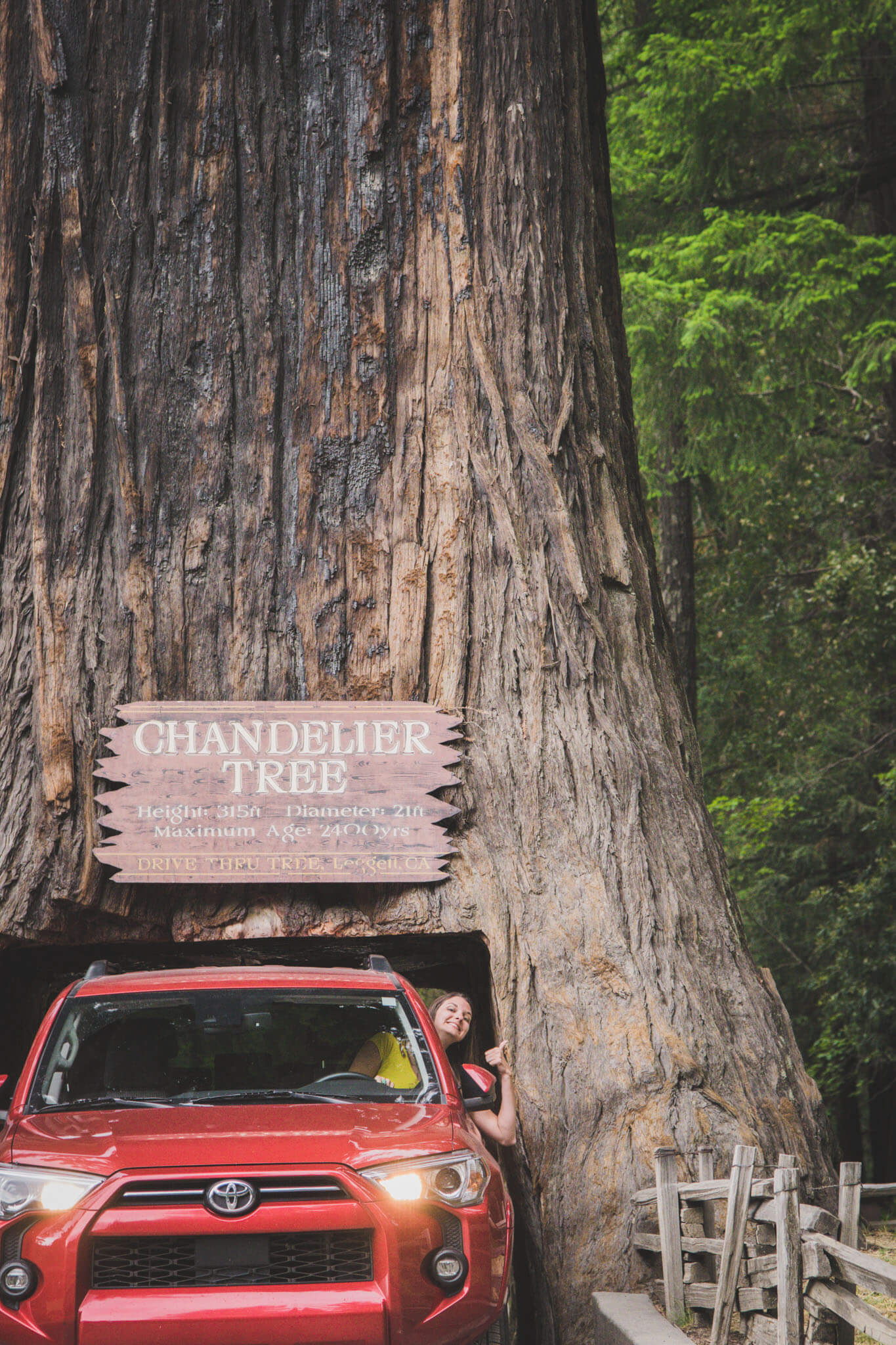 A Really Great Redwood National Park Weekend Itinerary - A Couple Days ...