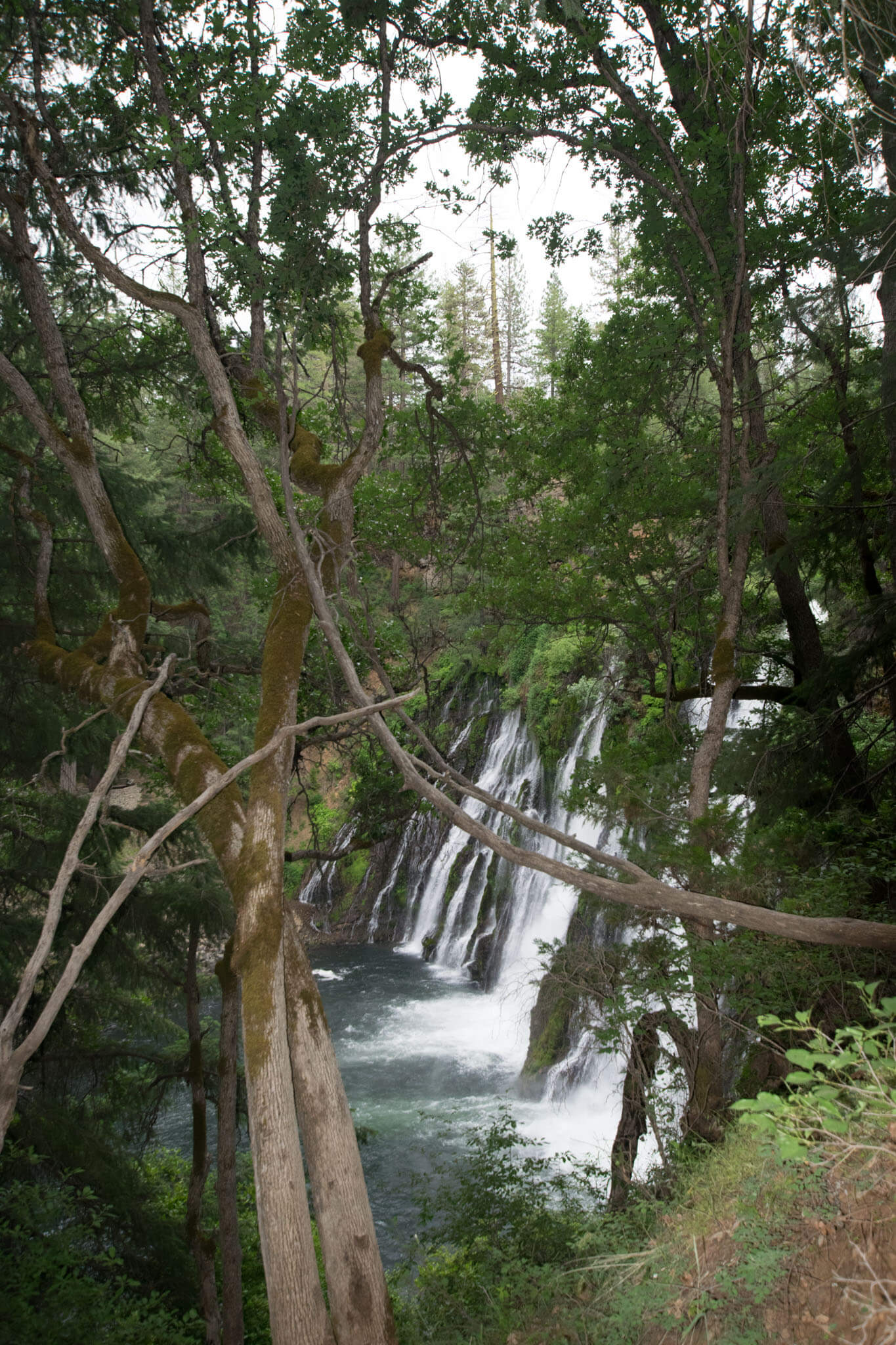 The McArthur-Burney Falls Guide: Hikes, Camping and More! - A Couple ...