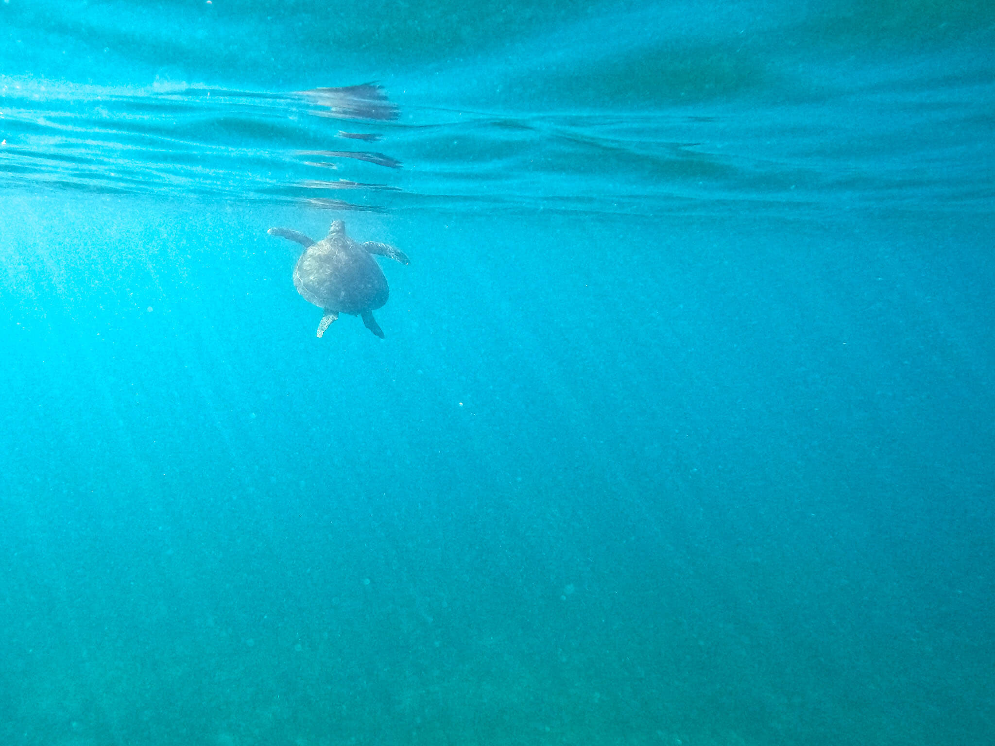 Your Complete Guide To Visiting Dry Tortugas National Park - A Couple ...