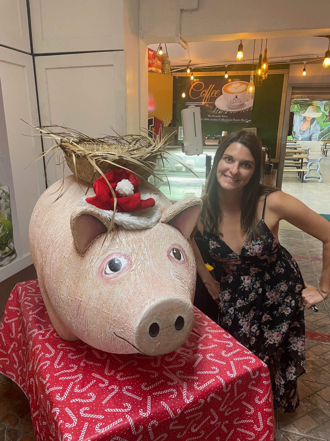 How To Visit Puerto Rico’s Pork Highway - A Couple Days Travel