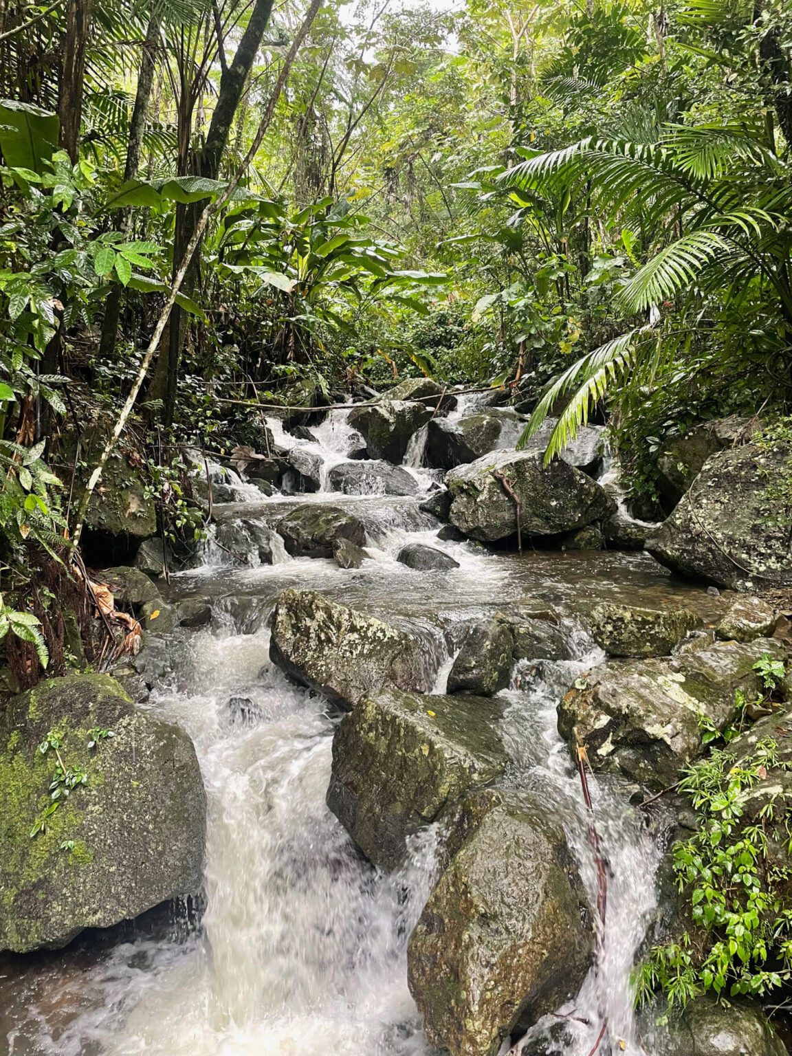 One Day In El Yunque: Plus A Natural Waterslide! - A Couple Days Travel