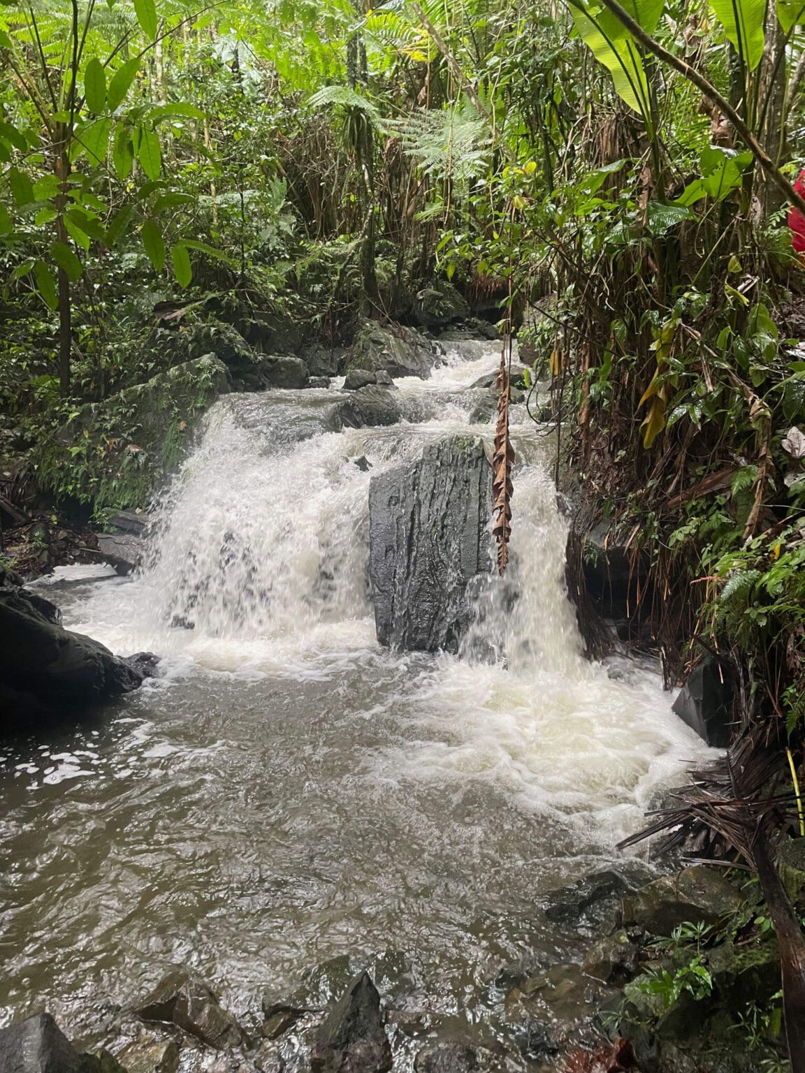 One Day In El Yunque: Plus A Natural Waterslide! - A Couple Days Travel