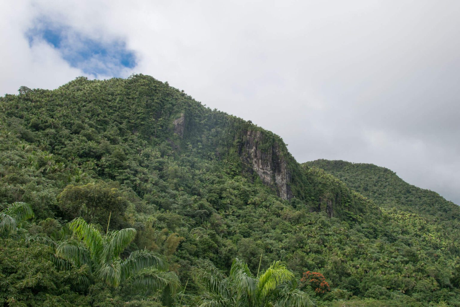 One Day In El Yunque: Plus A Natural Waterslide! - A Couple Days Travel