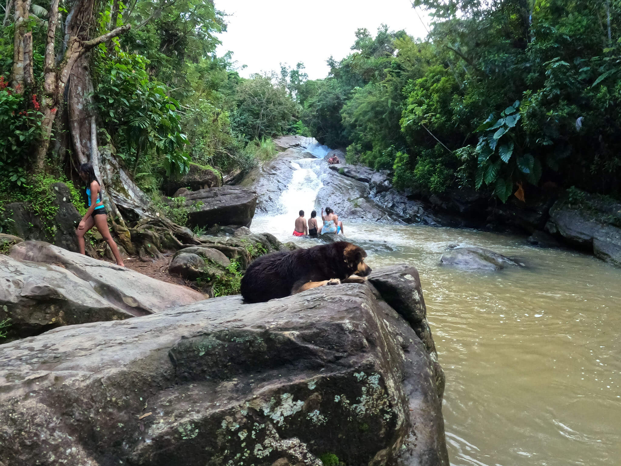 One Day In El Yunque: Plus A Natural Waterslide! - A Couple Days Travel