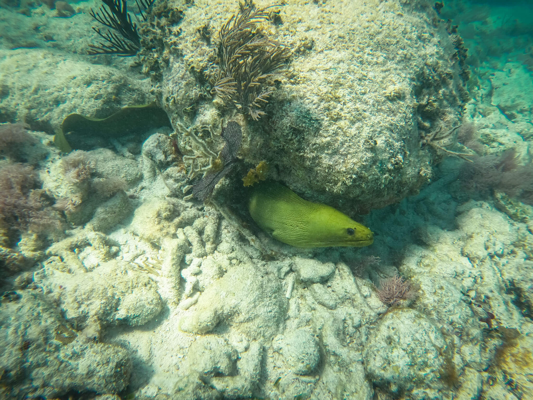 Amazing Florida Keys Itinerary: 5-9 Day Road Trip Options - A Couple ...