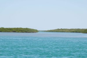 How To Visit Biscayne National Park - A Couple Days Travel