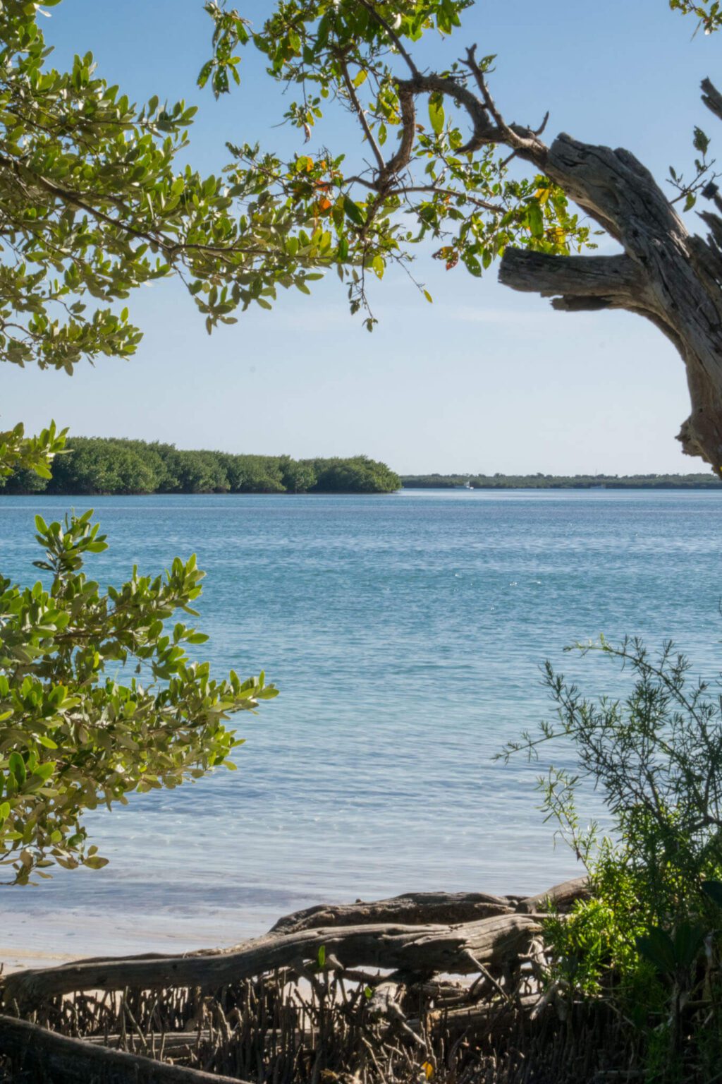 How To Visit Biscayne National Park - A Couple Days Travel